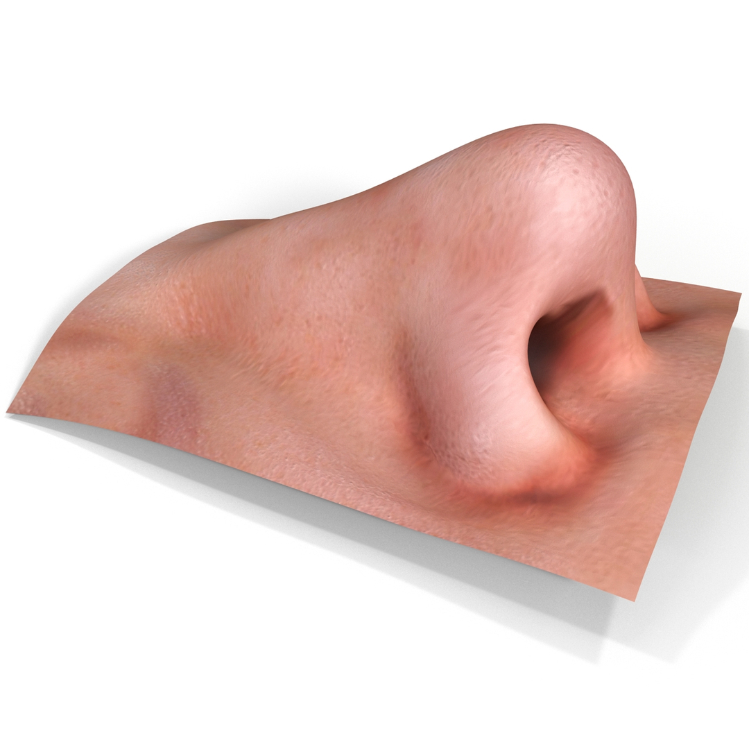 3d nose model
