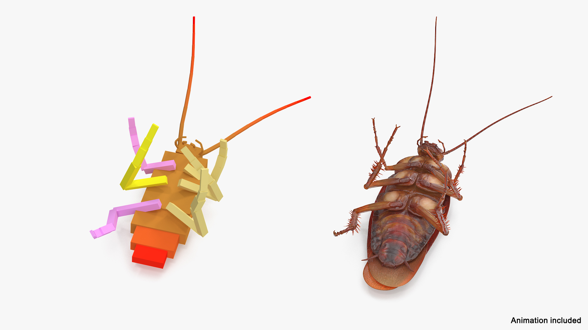 Animated Cockroach With Bait Collection For Maya 3D - TurboSquid 2177586