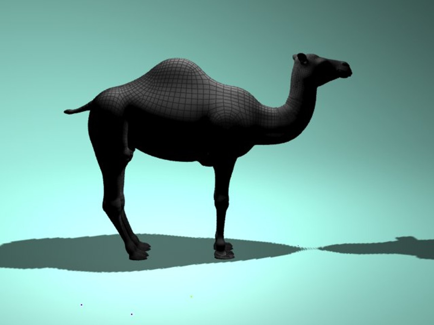 3d Camel Model
