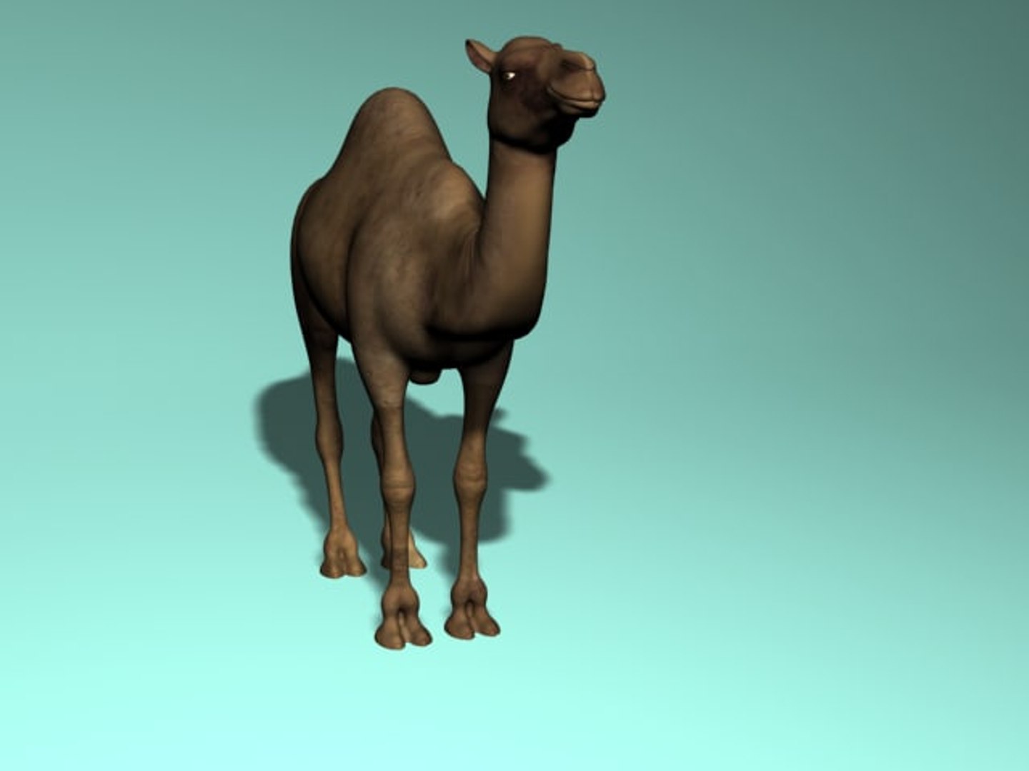 3d Camel Model