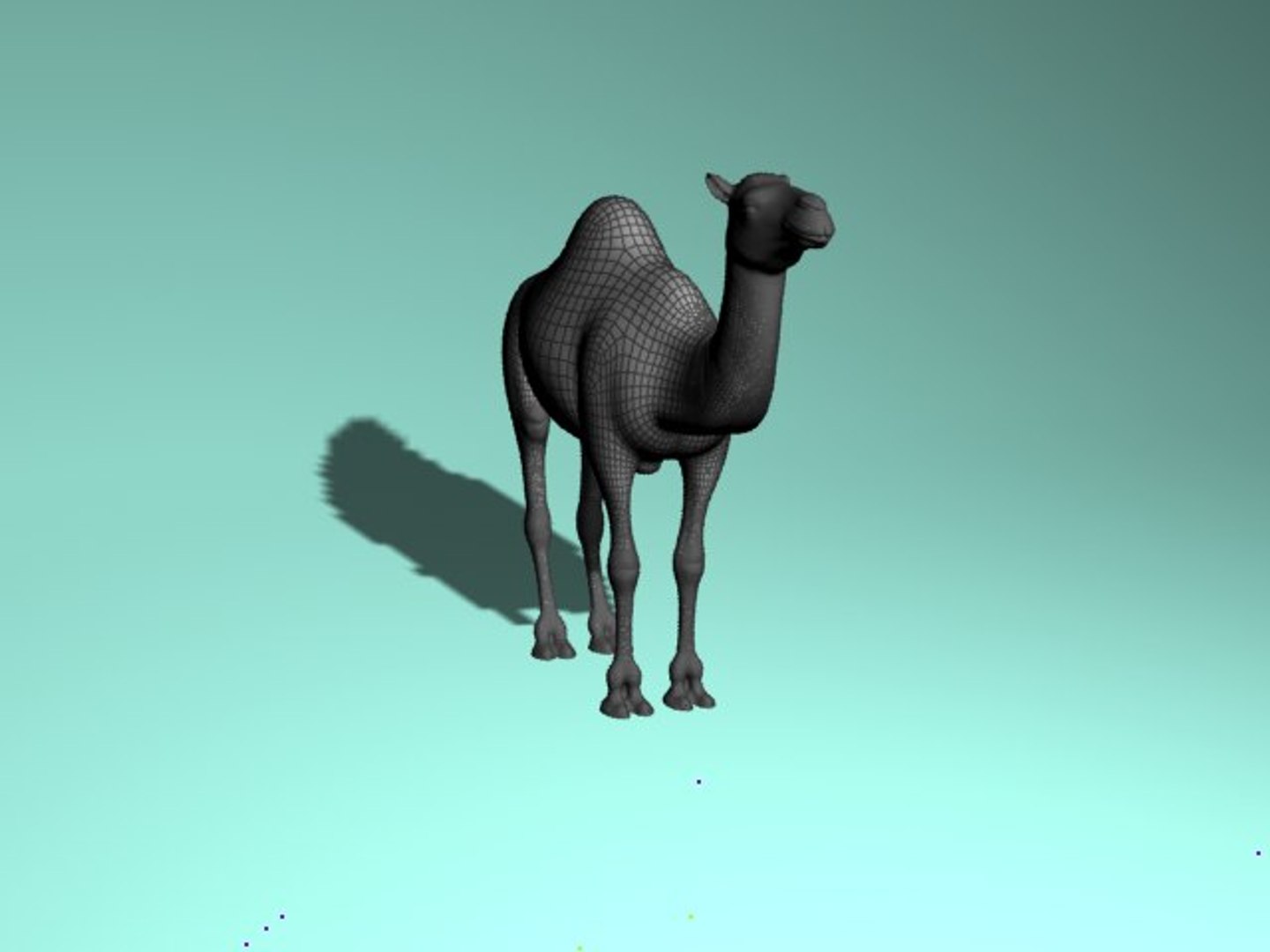 3d Camel Model