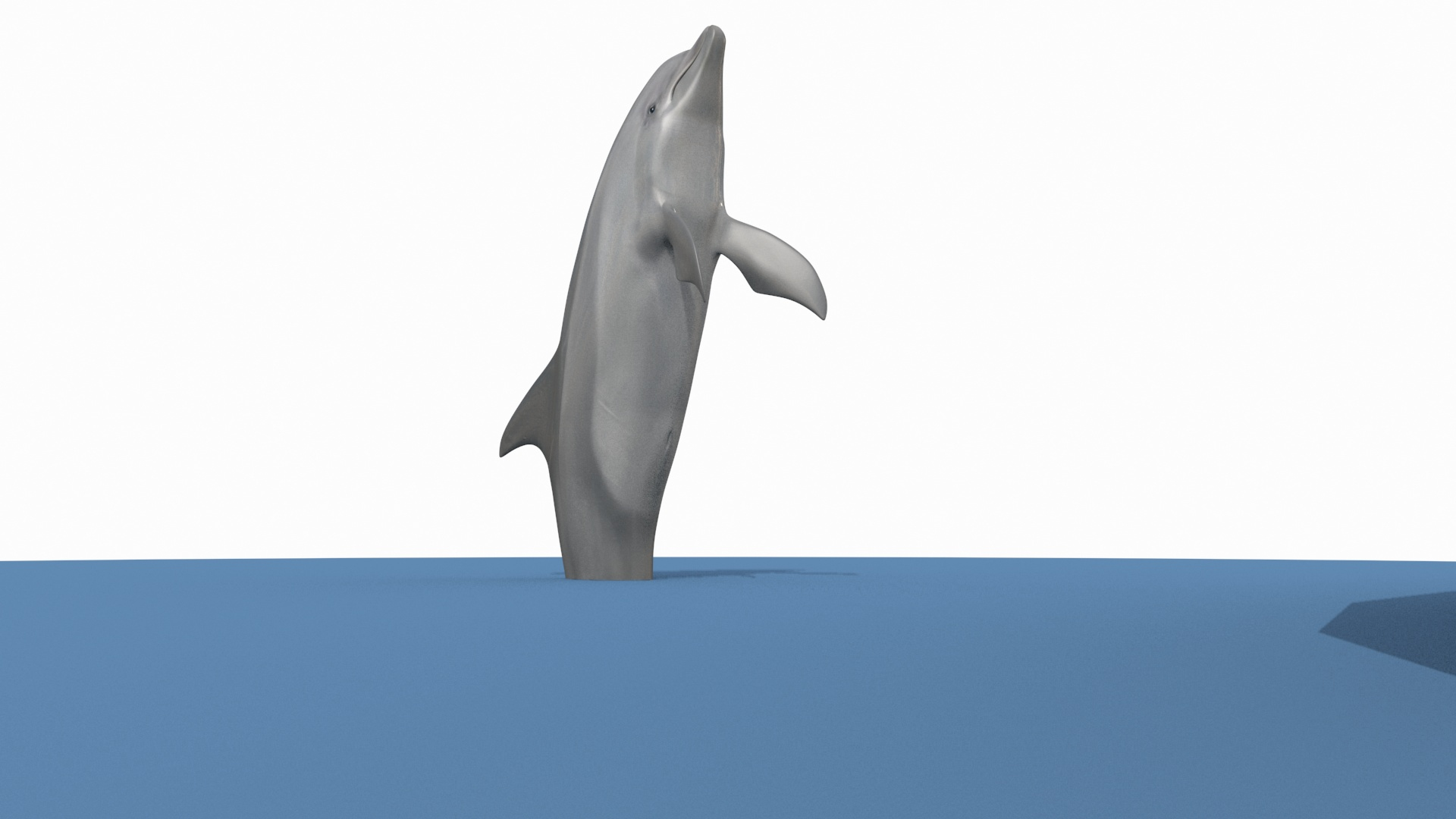 3D Animated Dolphin 3D Model - TurboSquid 2185529
