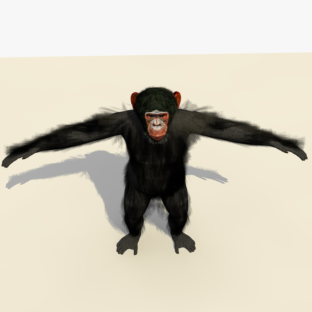 3d rigged chimpanzee swinging animation