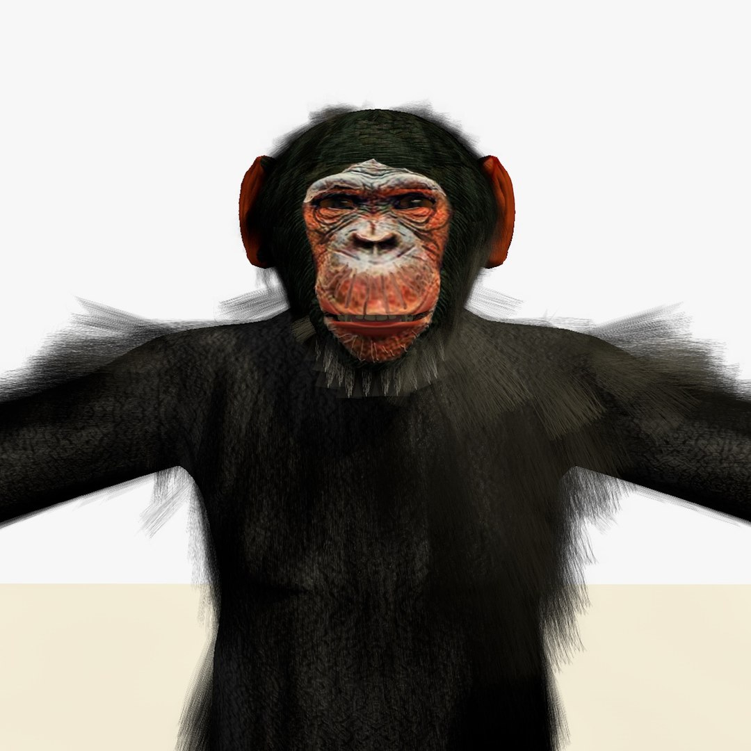 3d Rigged Chimpanzee Swinging Animation