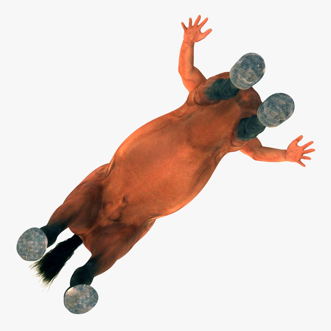 3d Centaur Model