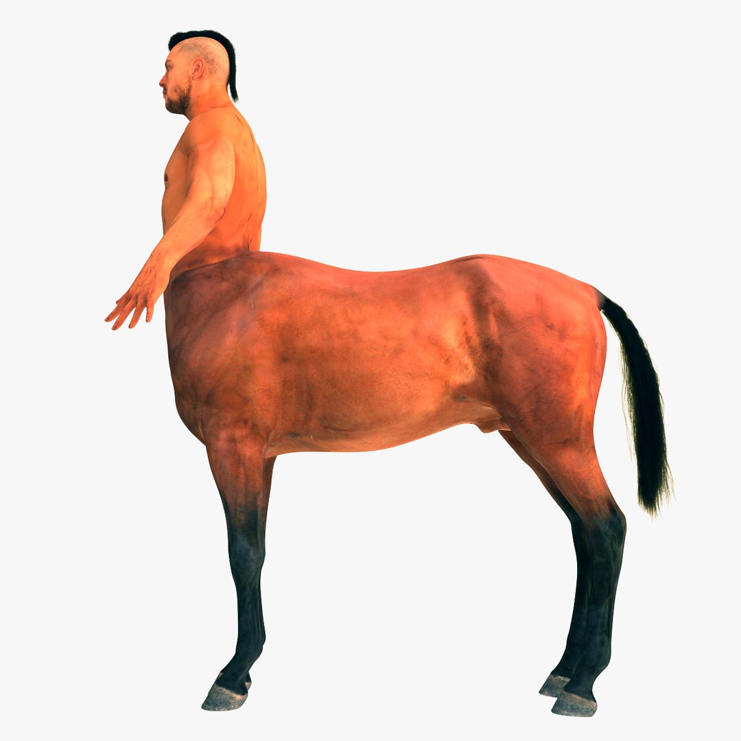 3d Centaur Model