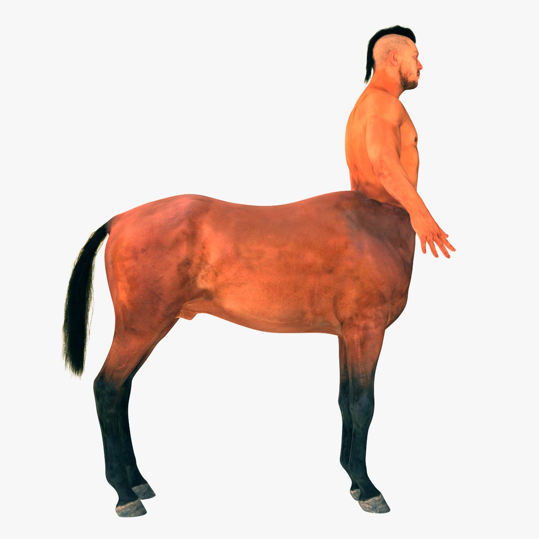 3d Centaur Model