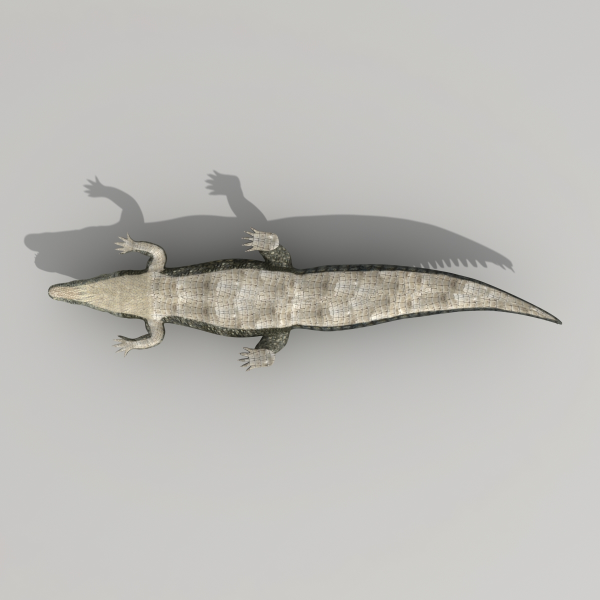 3d model crocodile croc