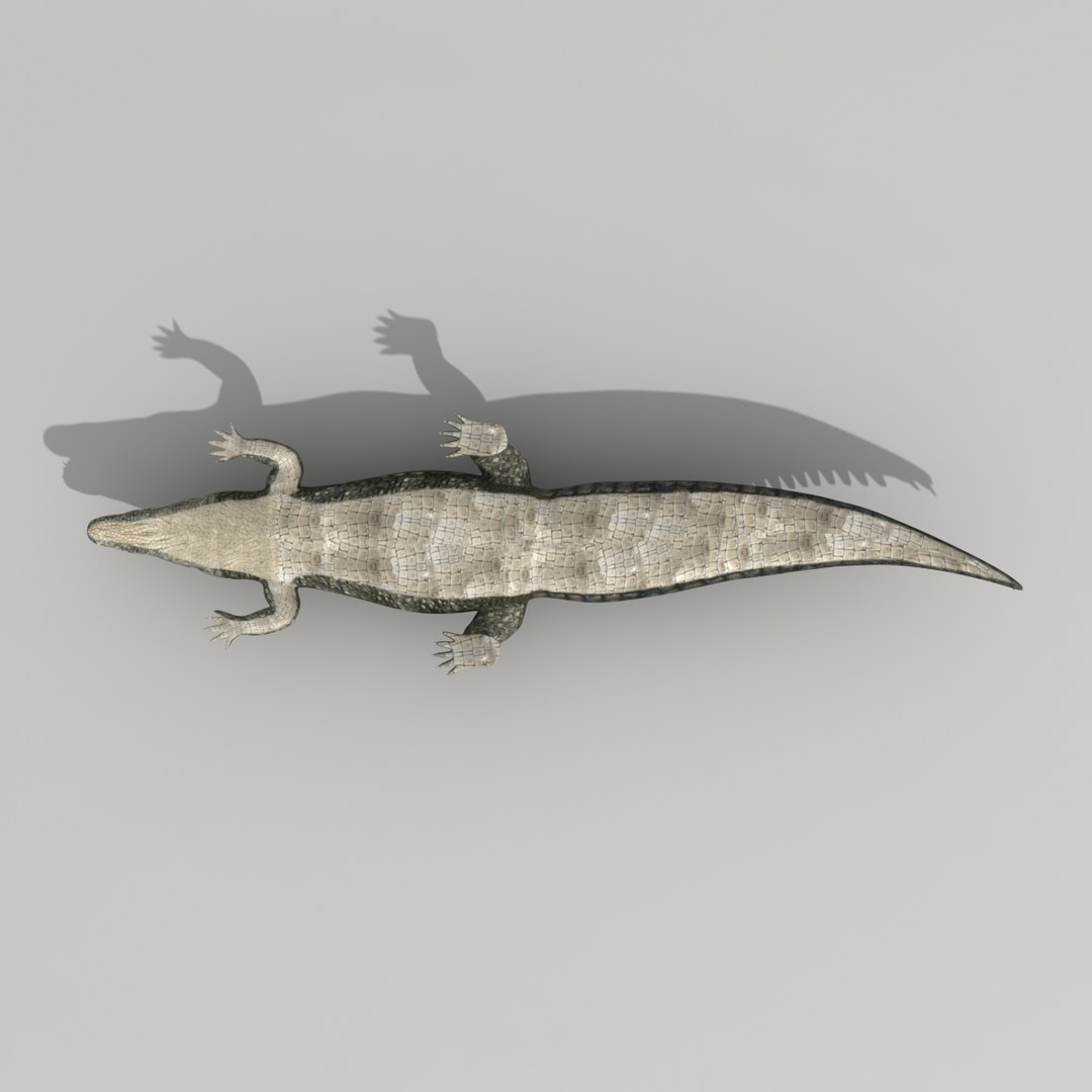 3d Model Crocodile Croc