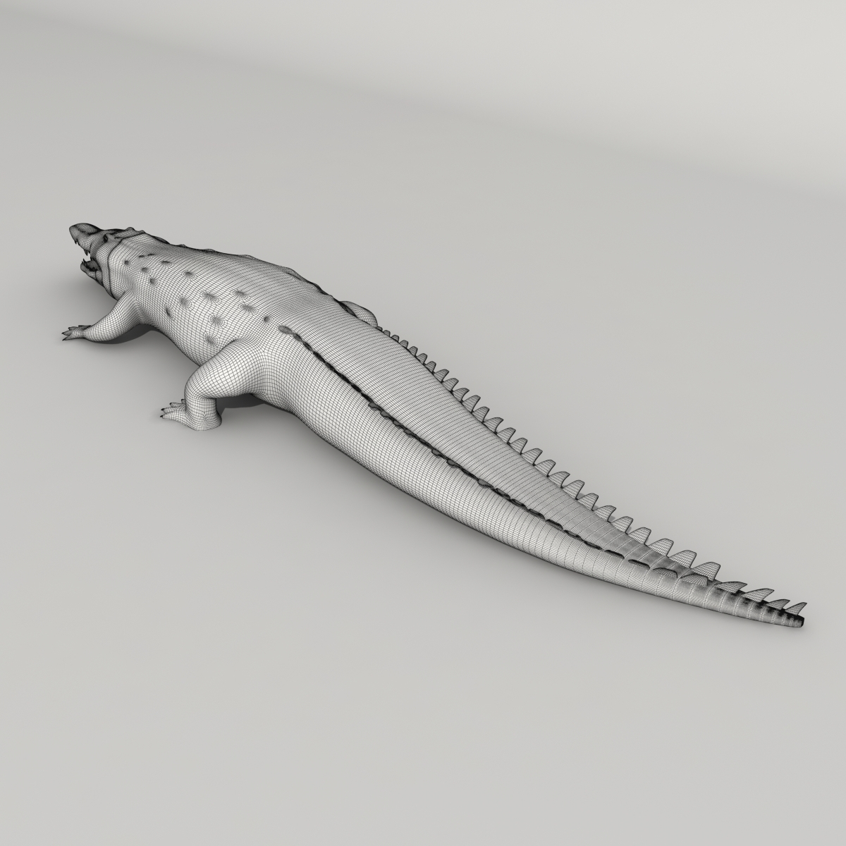 3d model crocodile croc