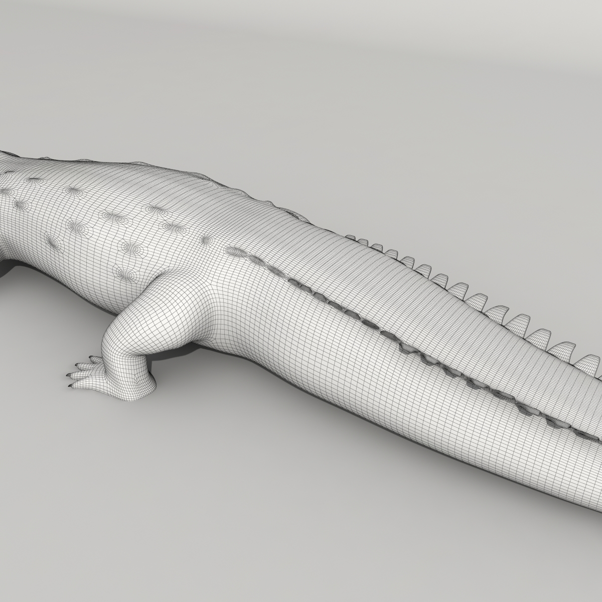 3d model crocodile croc