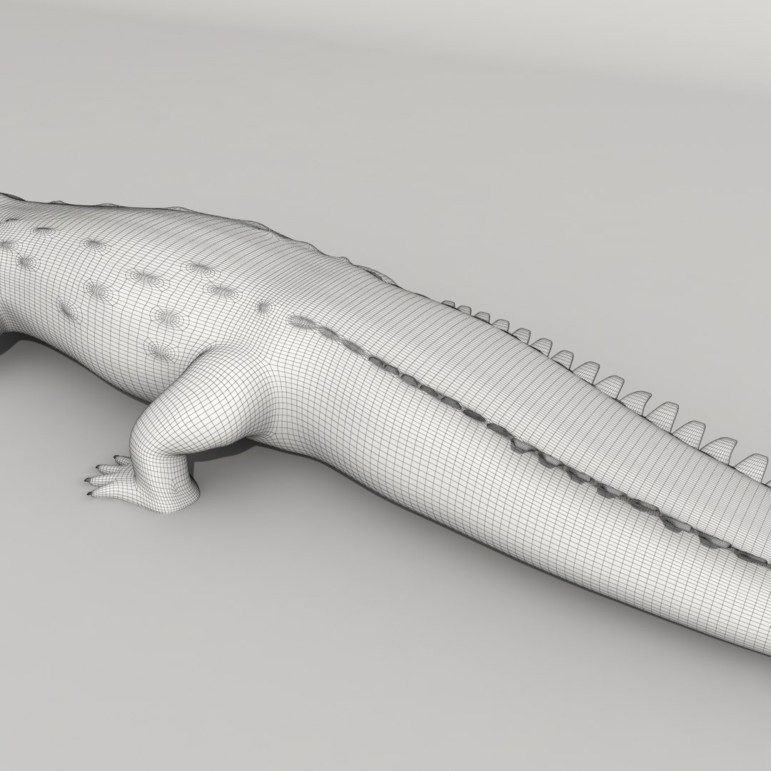 3d Model Crocodile Croc