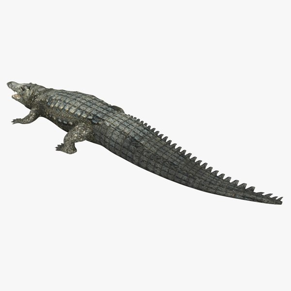 3d model crocodile croc