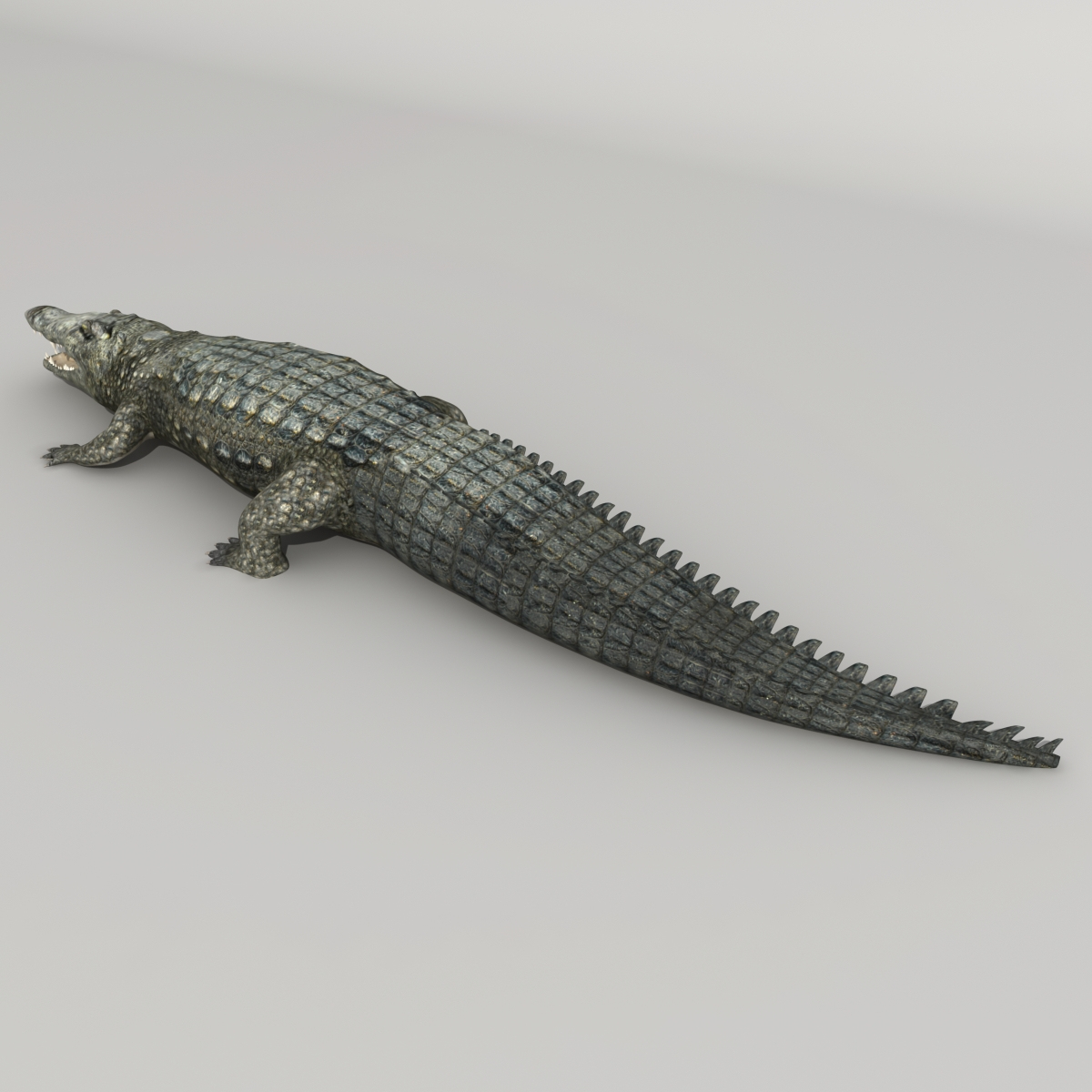 3d model crocodile croc