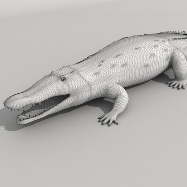 3d model crocodile croc