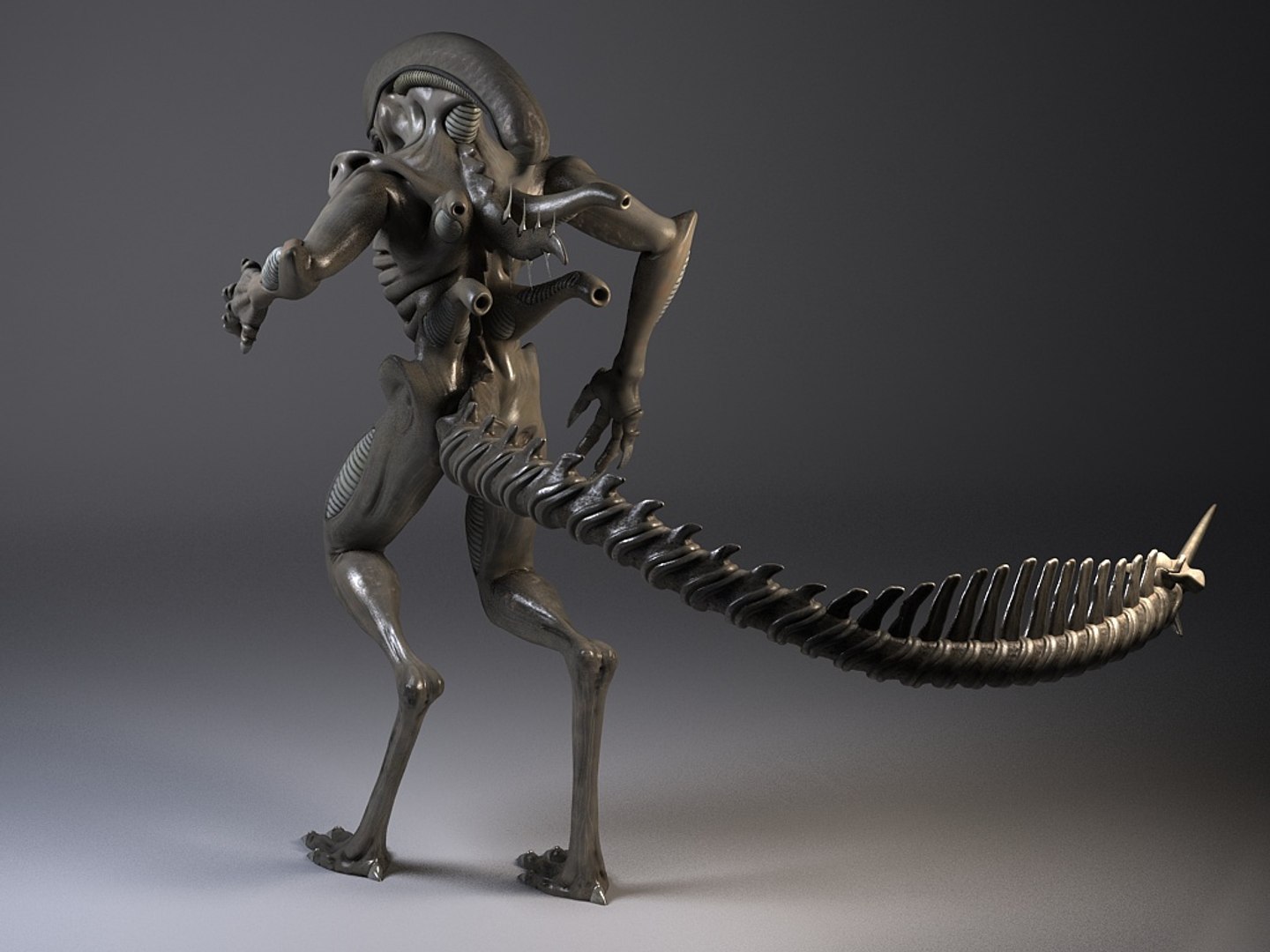 3d model rigged alien xenomorph