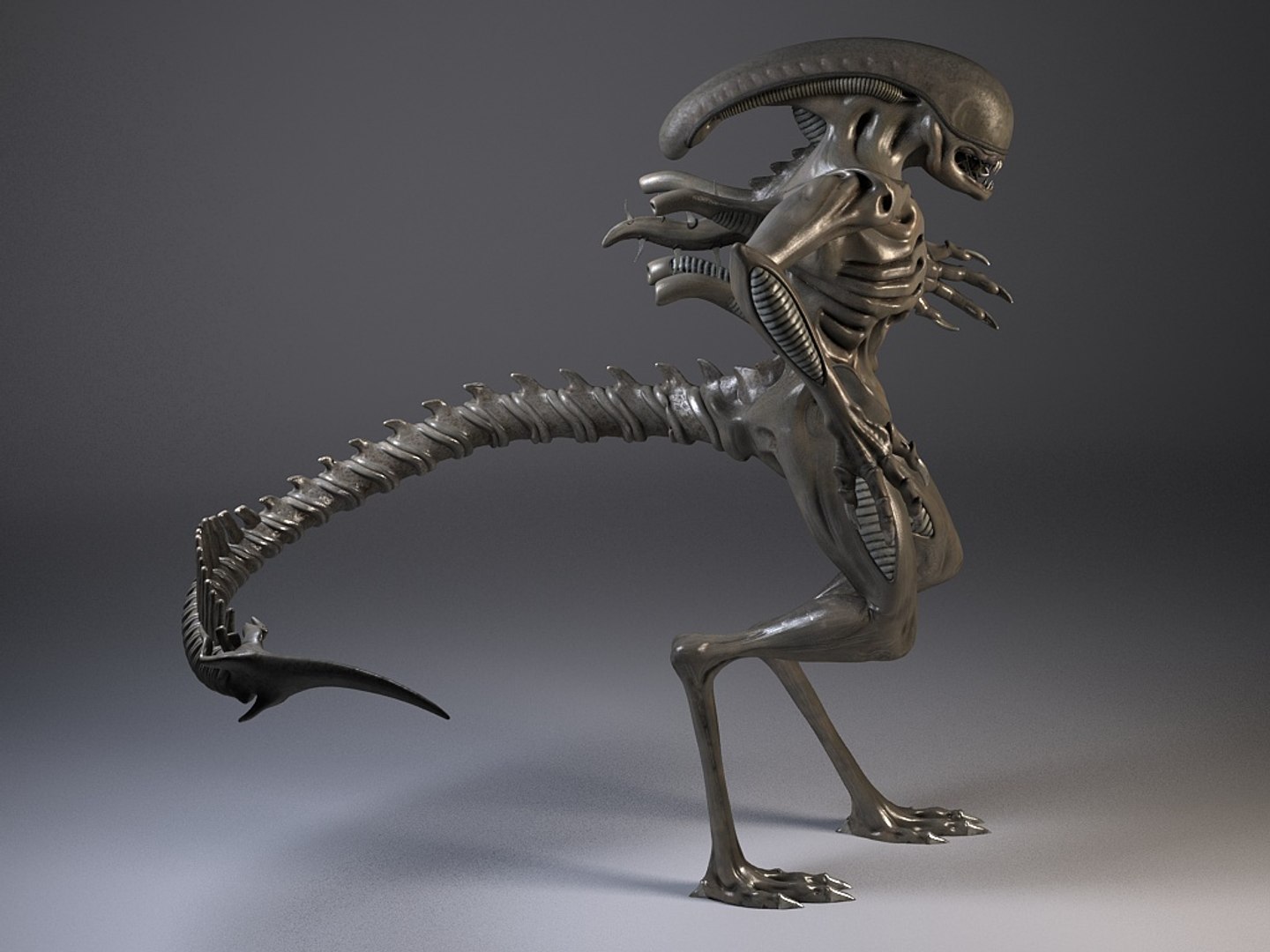 3d model rigged alien xenomorph