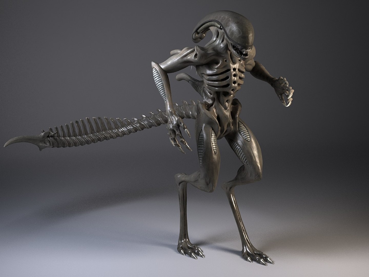 3d model rigged alien xenomorph