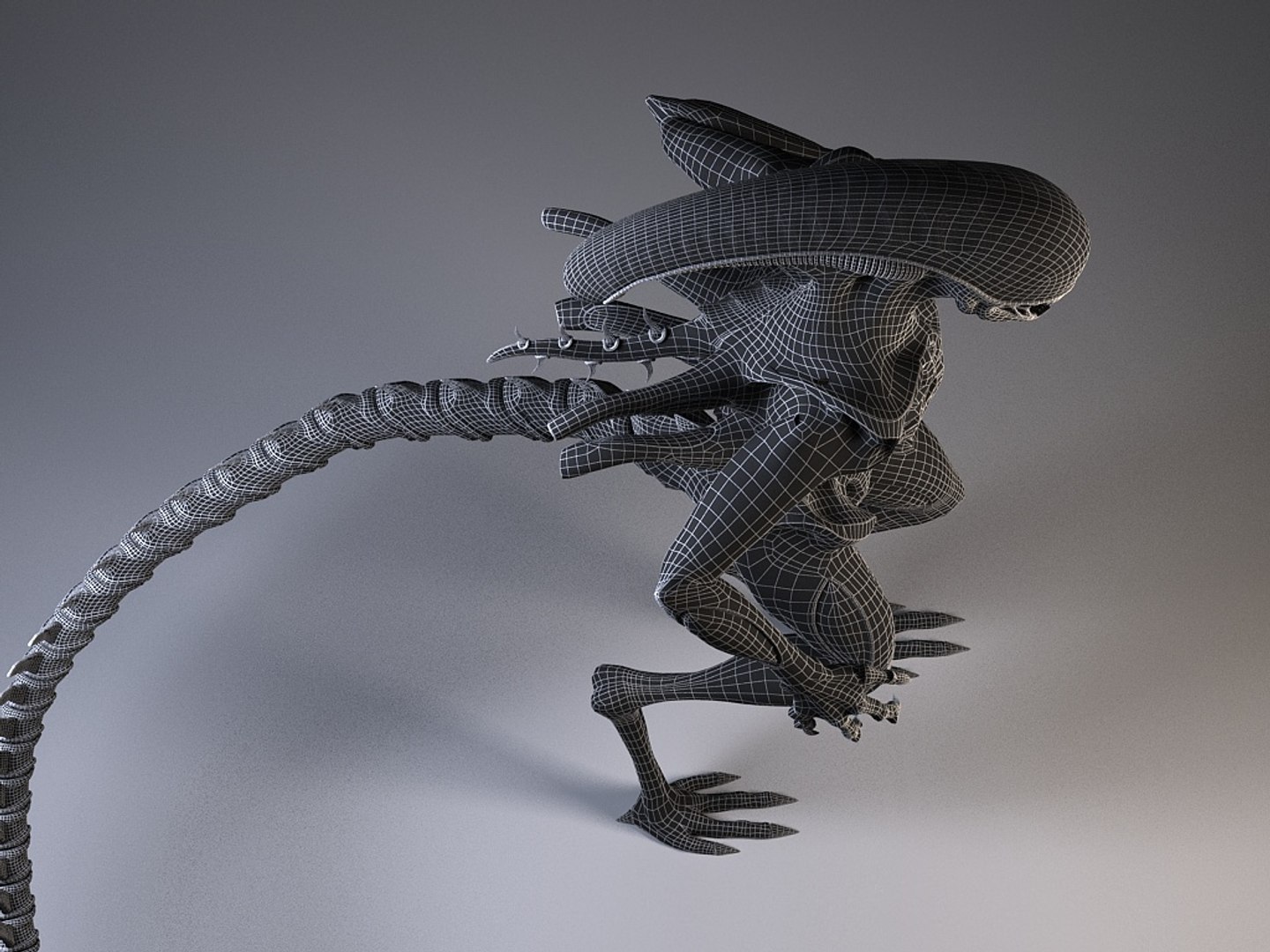 3d model rigged alien xenomorph