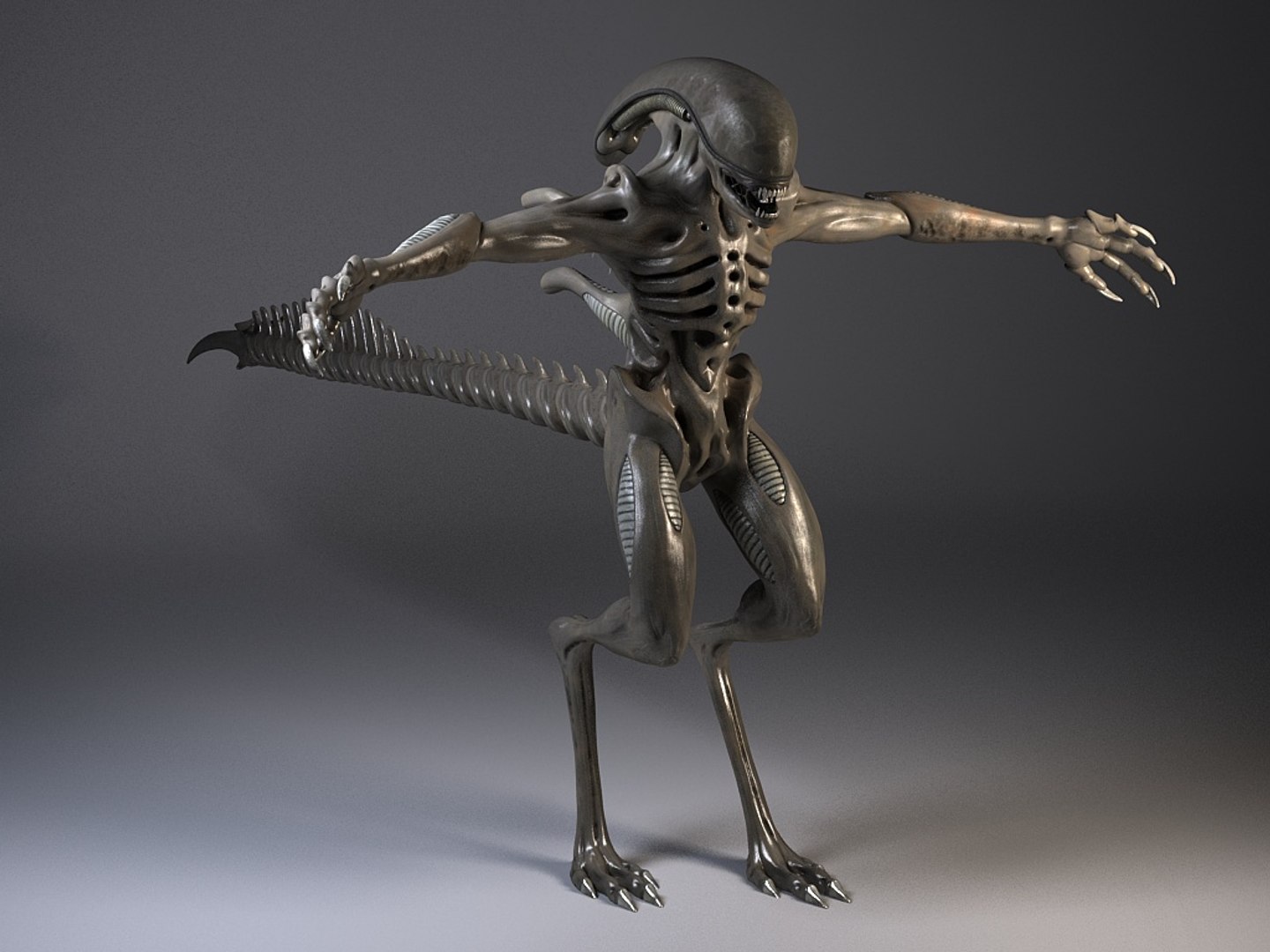 3d model rigged alien xenomorph