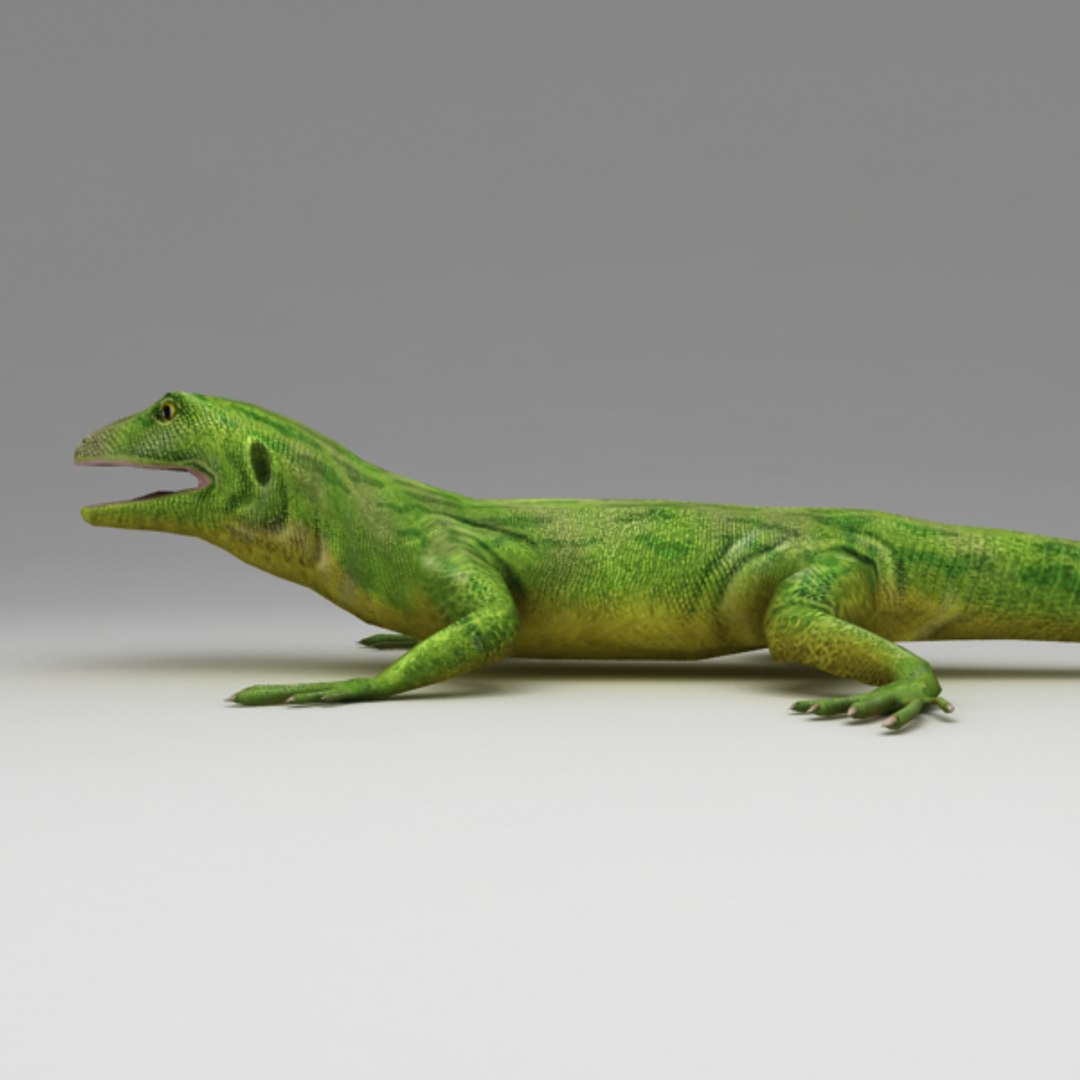 Lizard Green Rigged Obj