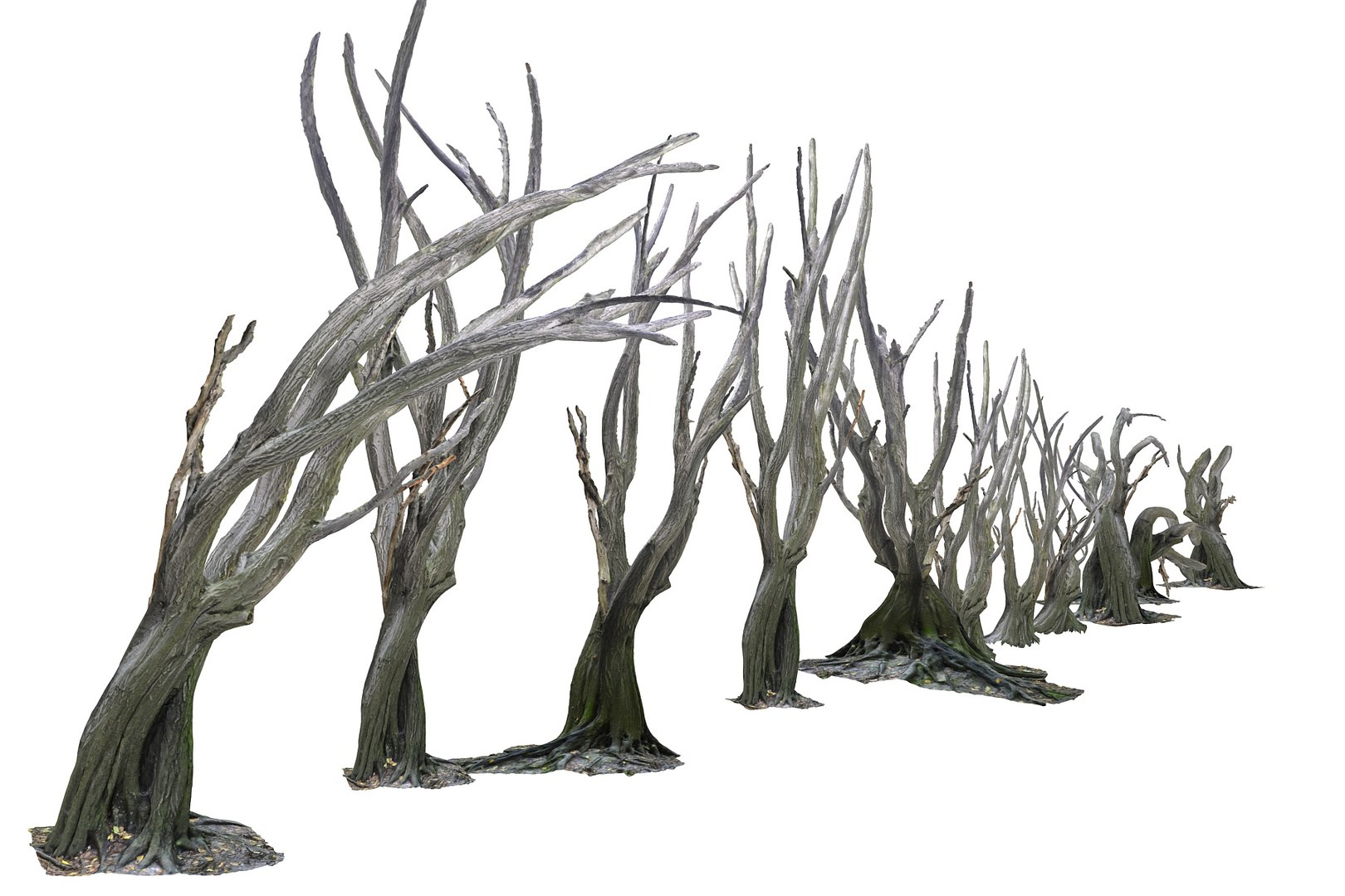Spooky forest pack 30 3D model - TurboSquid 1209186