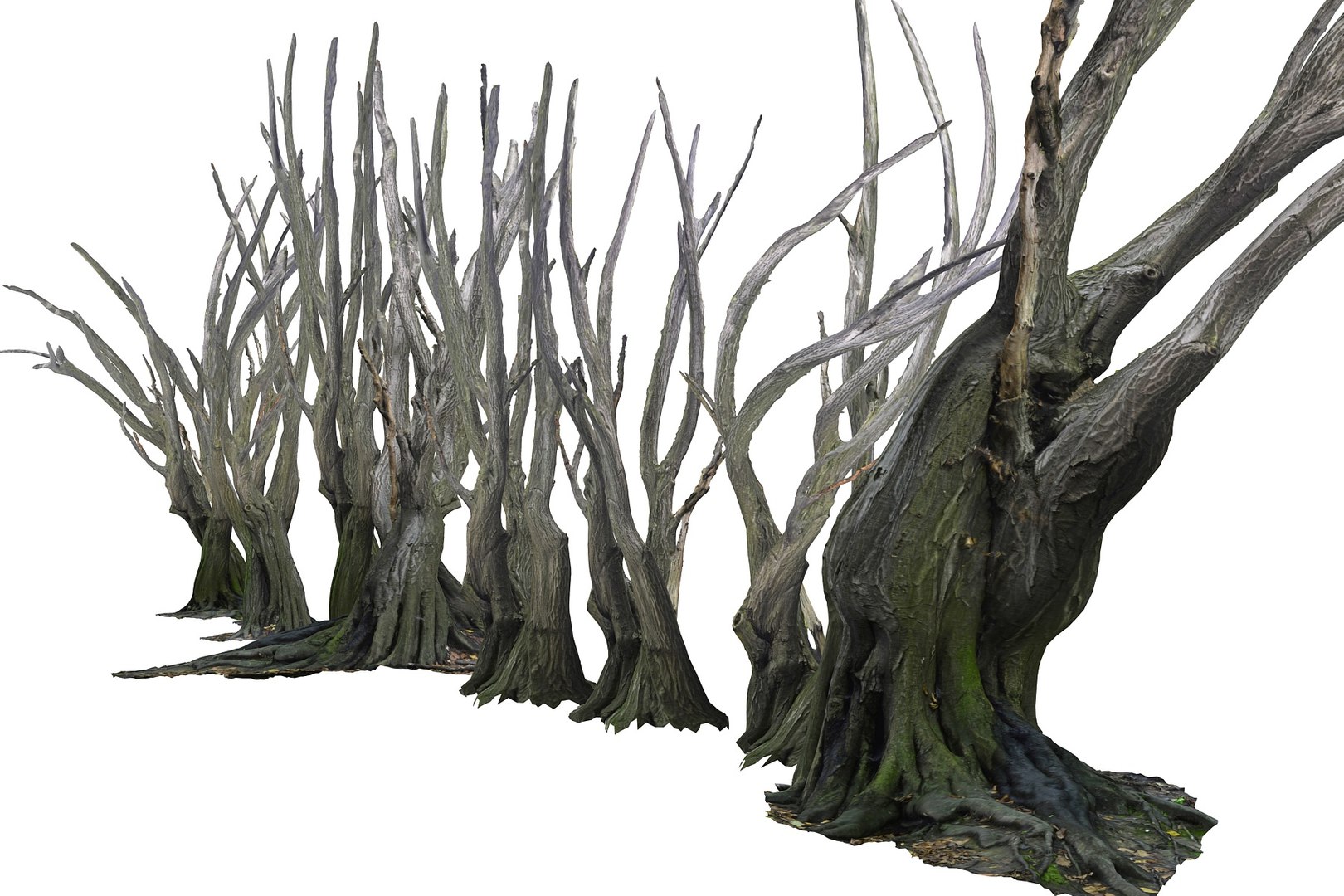 Spooky forest pack 30 3D model - TurboSquid 1209186