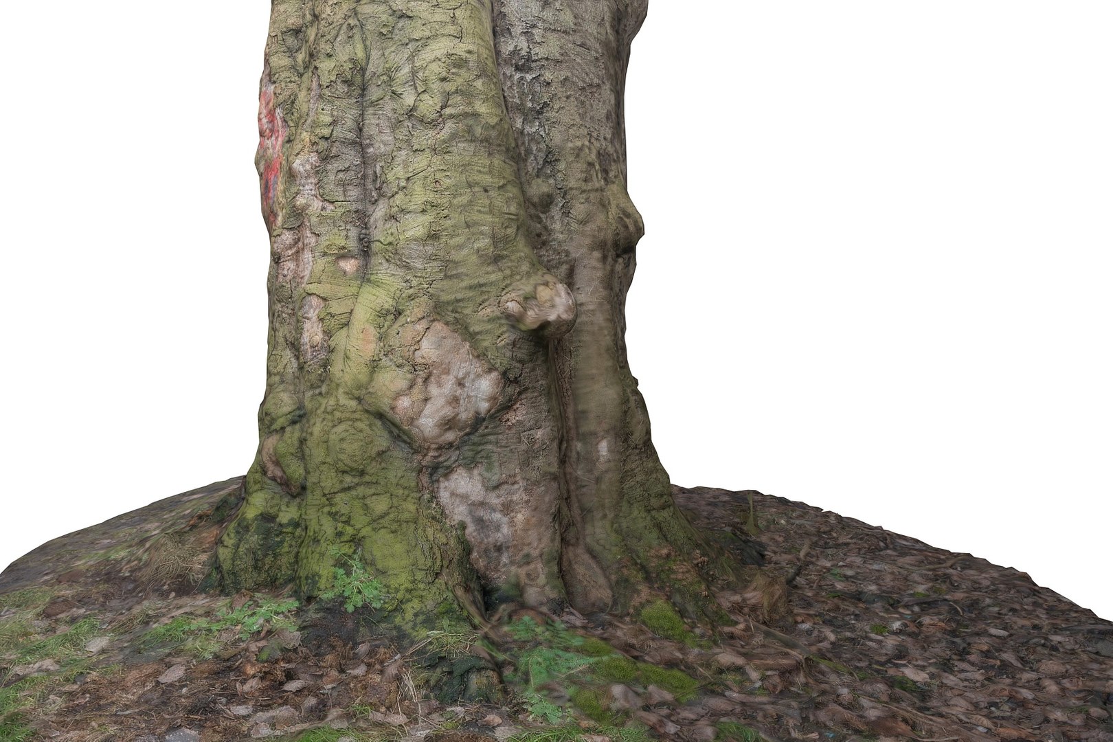 Spooky forest pack 30 3D model - TurboSquid 1209186