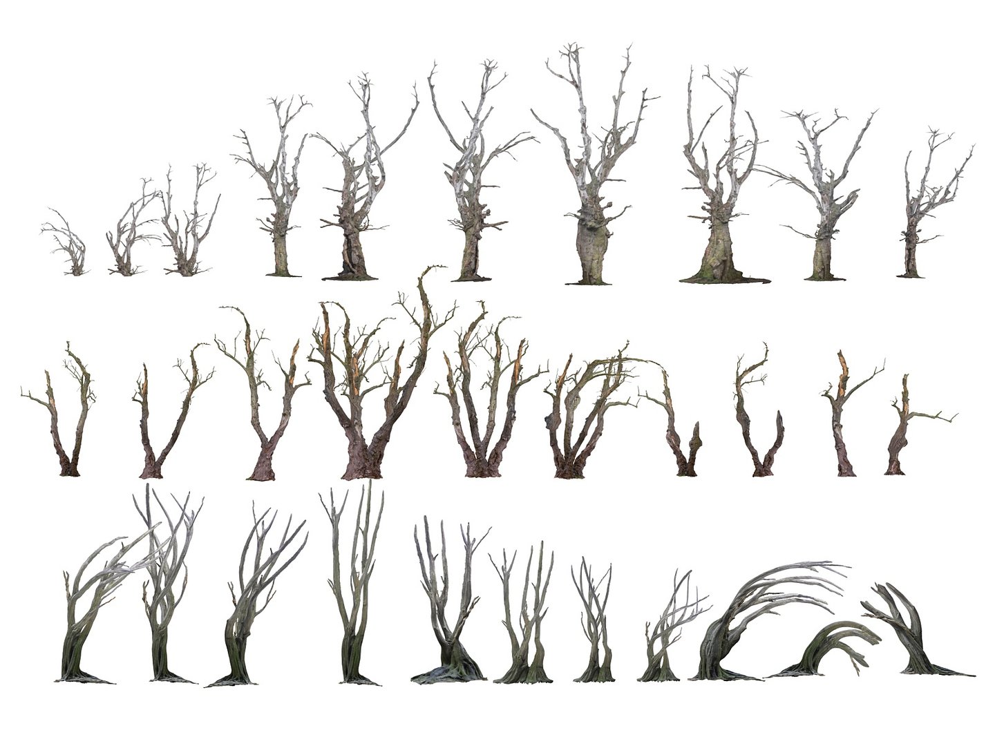 Spooky Forest Pack 30 3D Model - TurboSquid 1209186