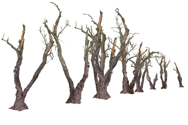 Spooky forest pack 30 3D model - TurboSquid 1209186