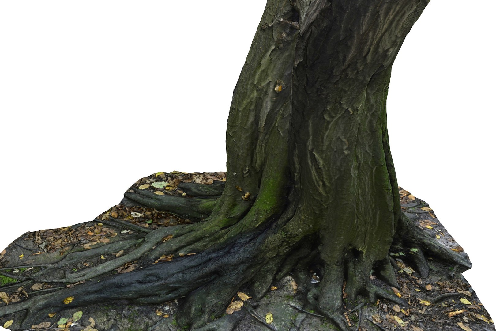Spooky forest pack 30 3D model - TurboSquid 1209186