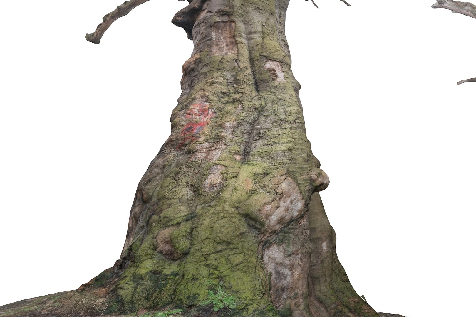 Spooky forest pack 30 3D model - TurboSquid 1209186