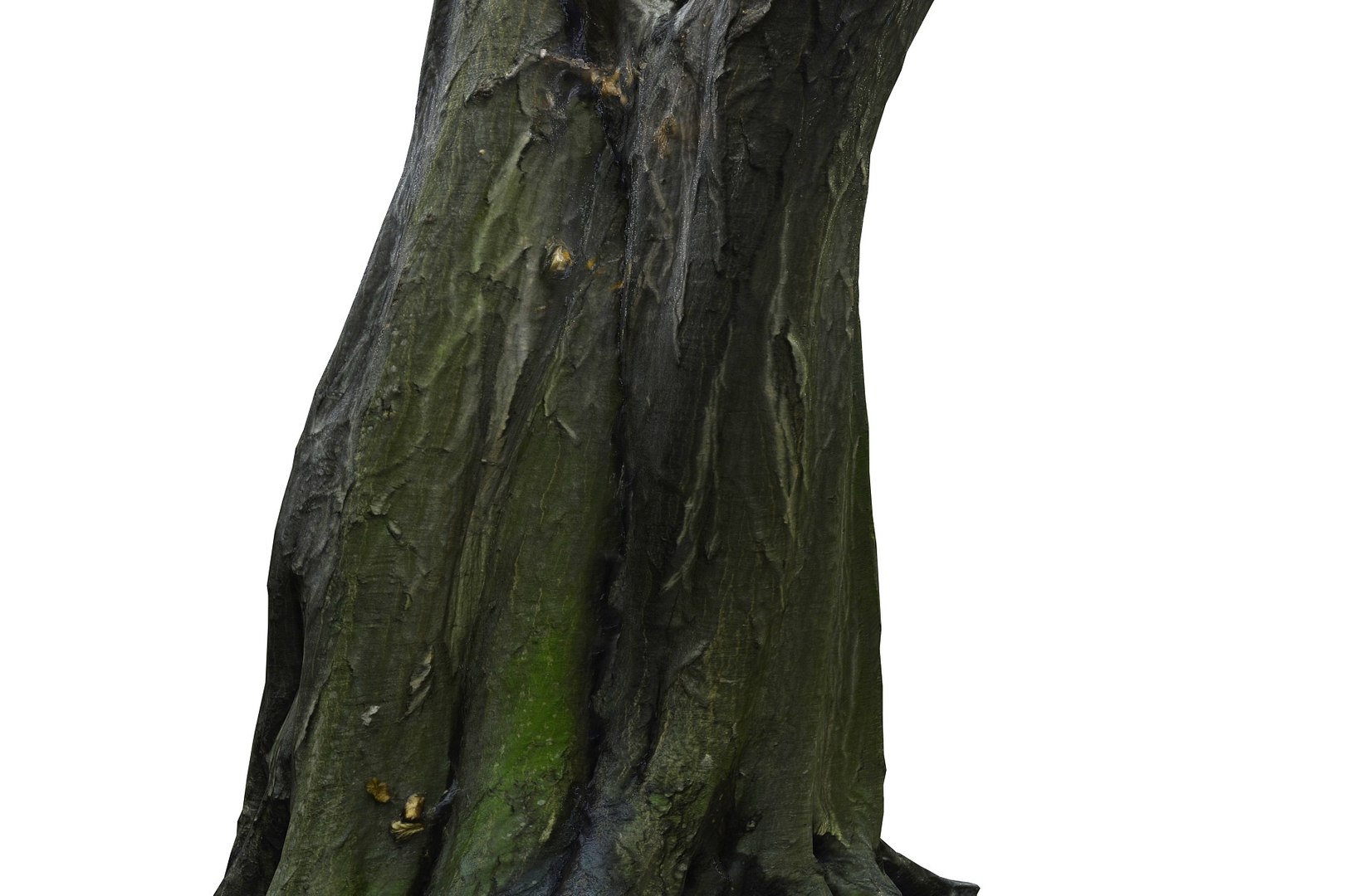 Spooky forest pack 30 3D model - TurboSquid 1209186