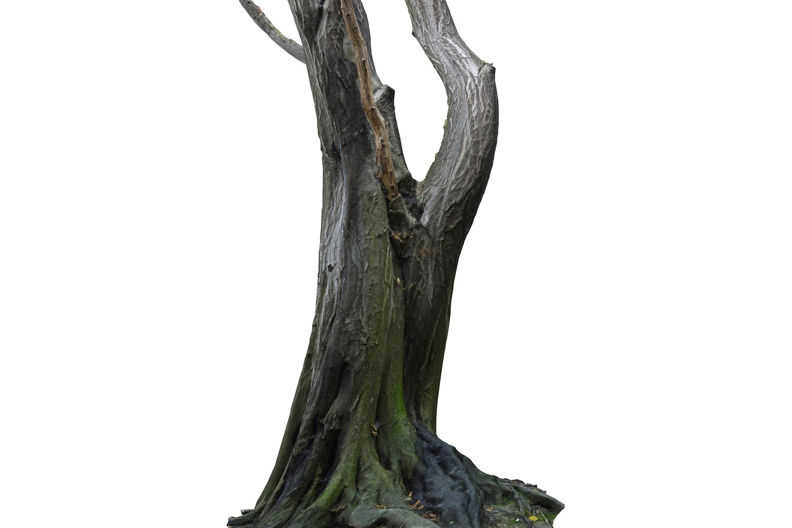 Spooky forest pack 30 3D model - TurboSquid 1209186