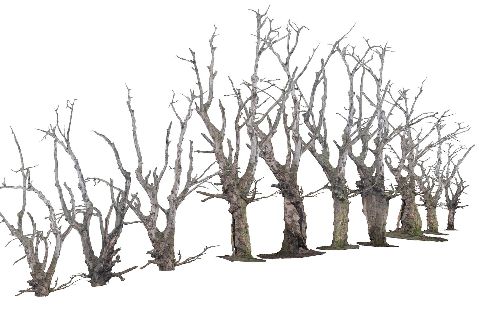 Spooky forest pack 30 3D model - TurboSquid 1209186