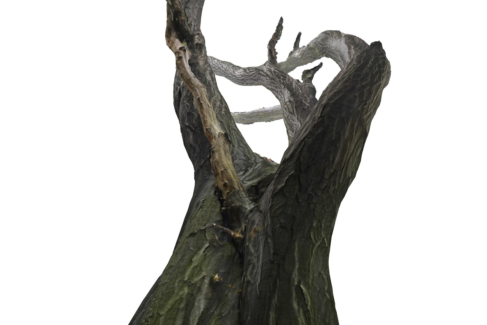 Spooky forest pack 30 3D model - TurboSquid 1209186