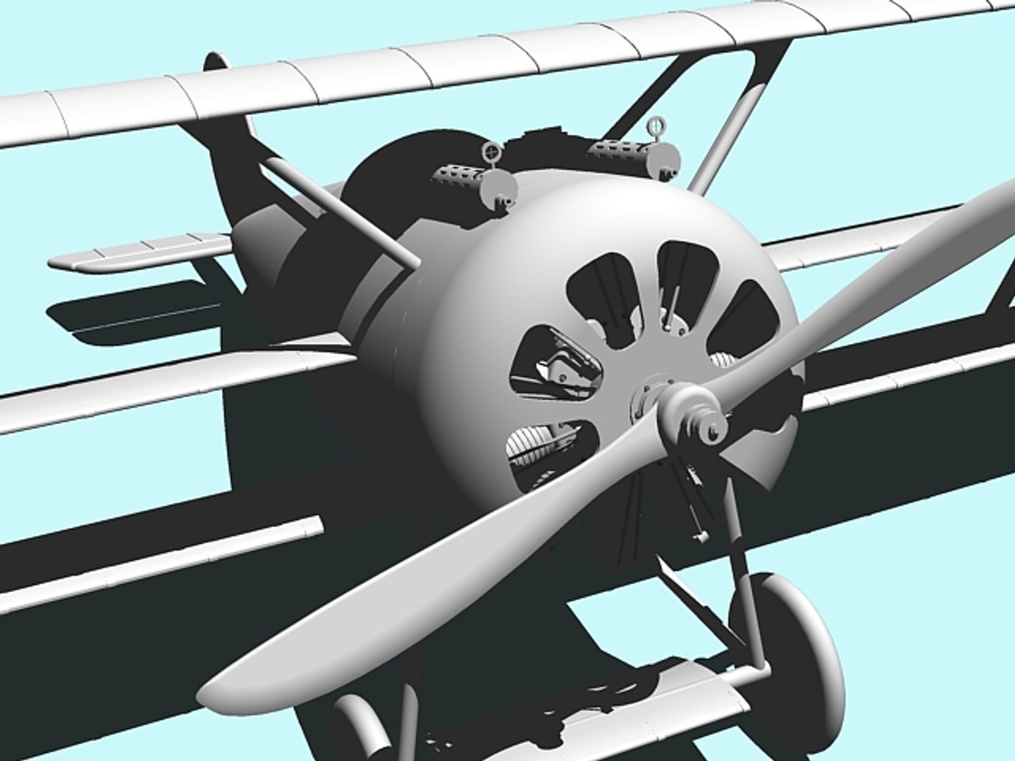 Pfalz 3d Model