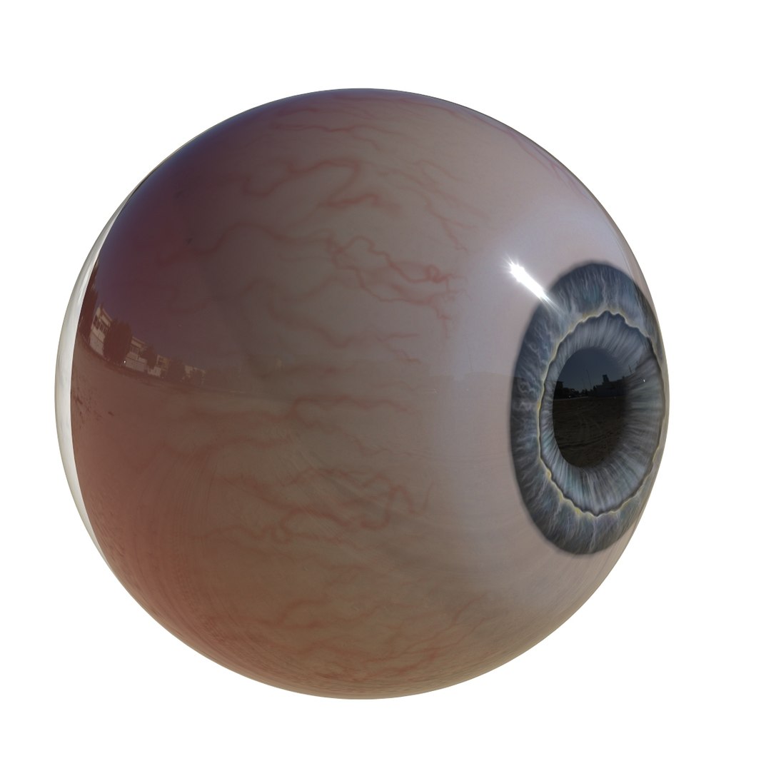 Eye Iris 3D Model | 1148149 | TurboSquid