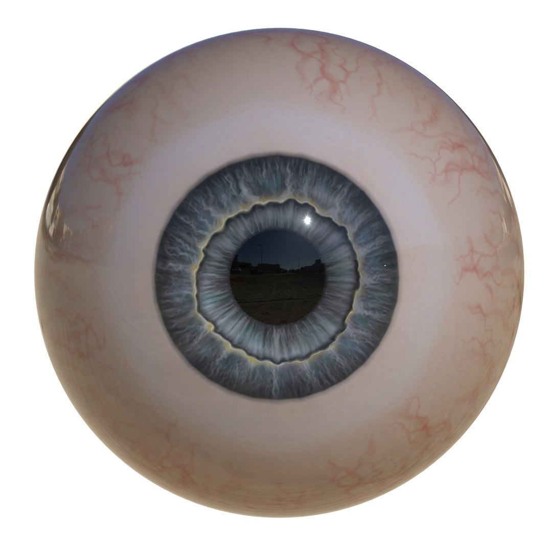 Eye Iris 3D Model | 1148149 | TurboSquid