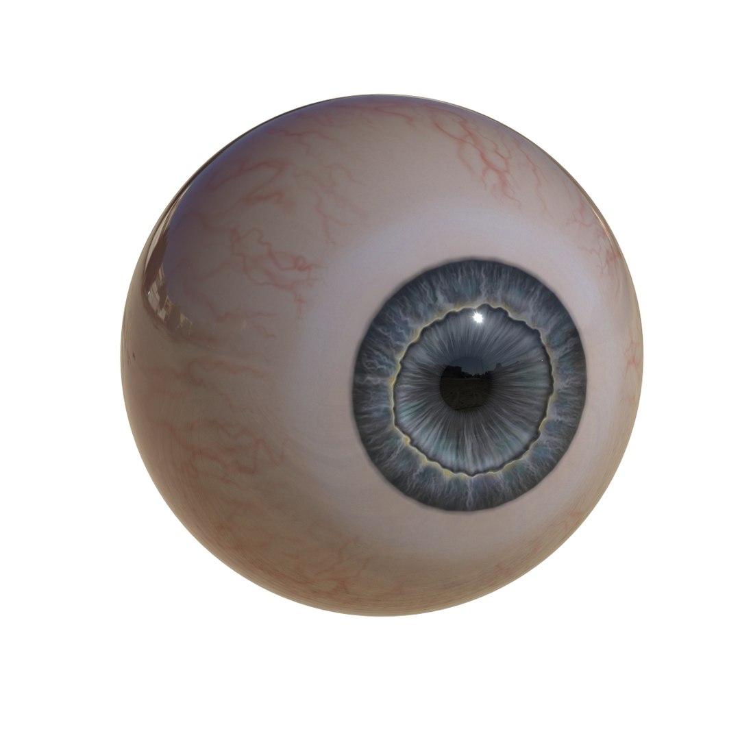 Eye Iris 3D Model | 1148149 | TurboSquid