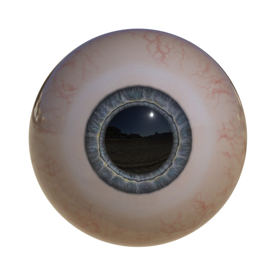 Eye Iris 3D Model | 1148149 | TurboSquid