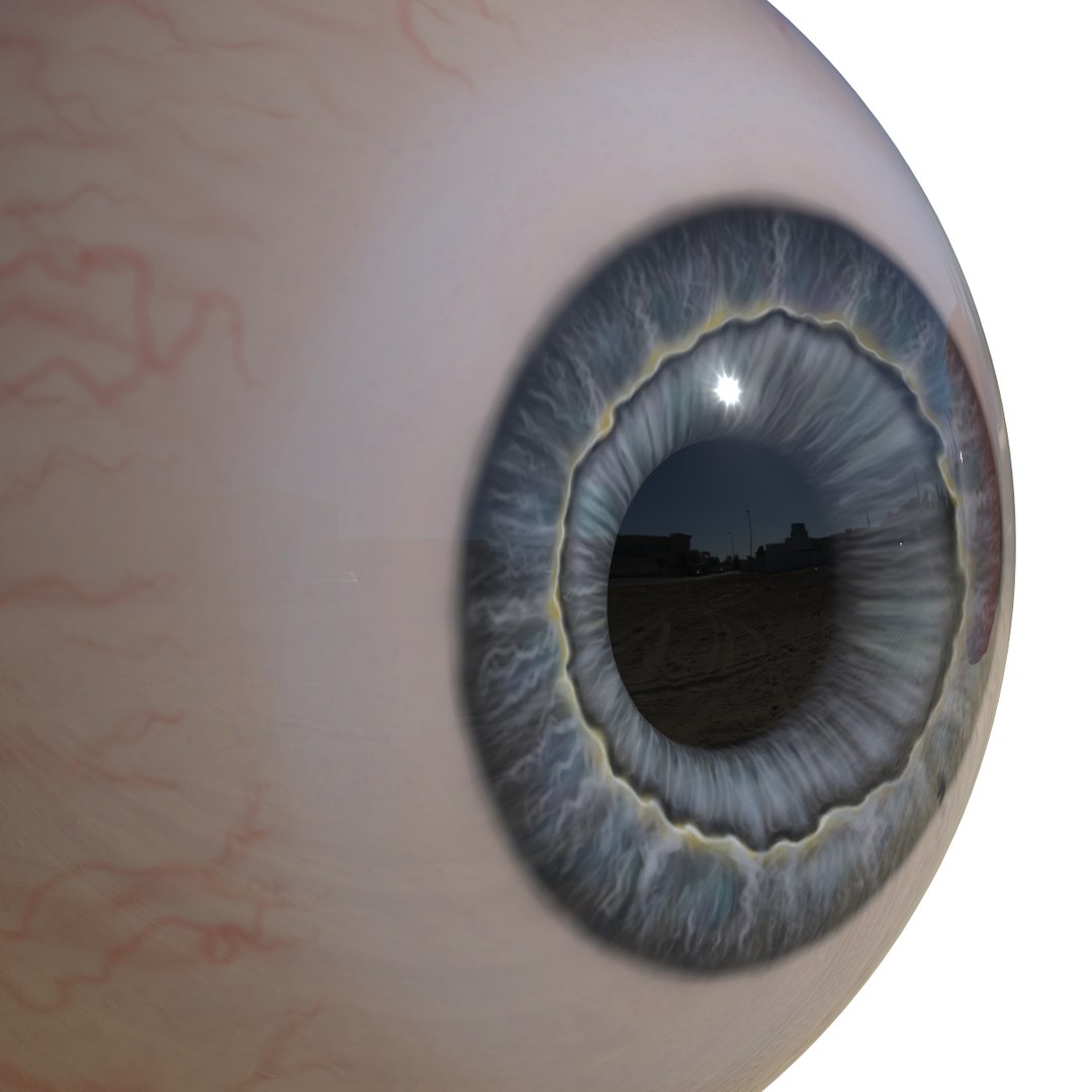Eye Iris 3D Model | 1148149 | TurboSquid
