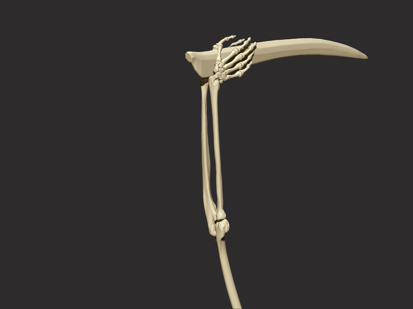 Giants Bone Scythe 3D - TurboSquid 2019211