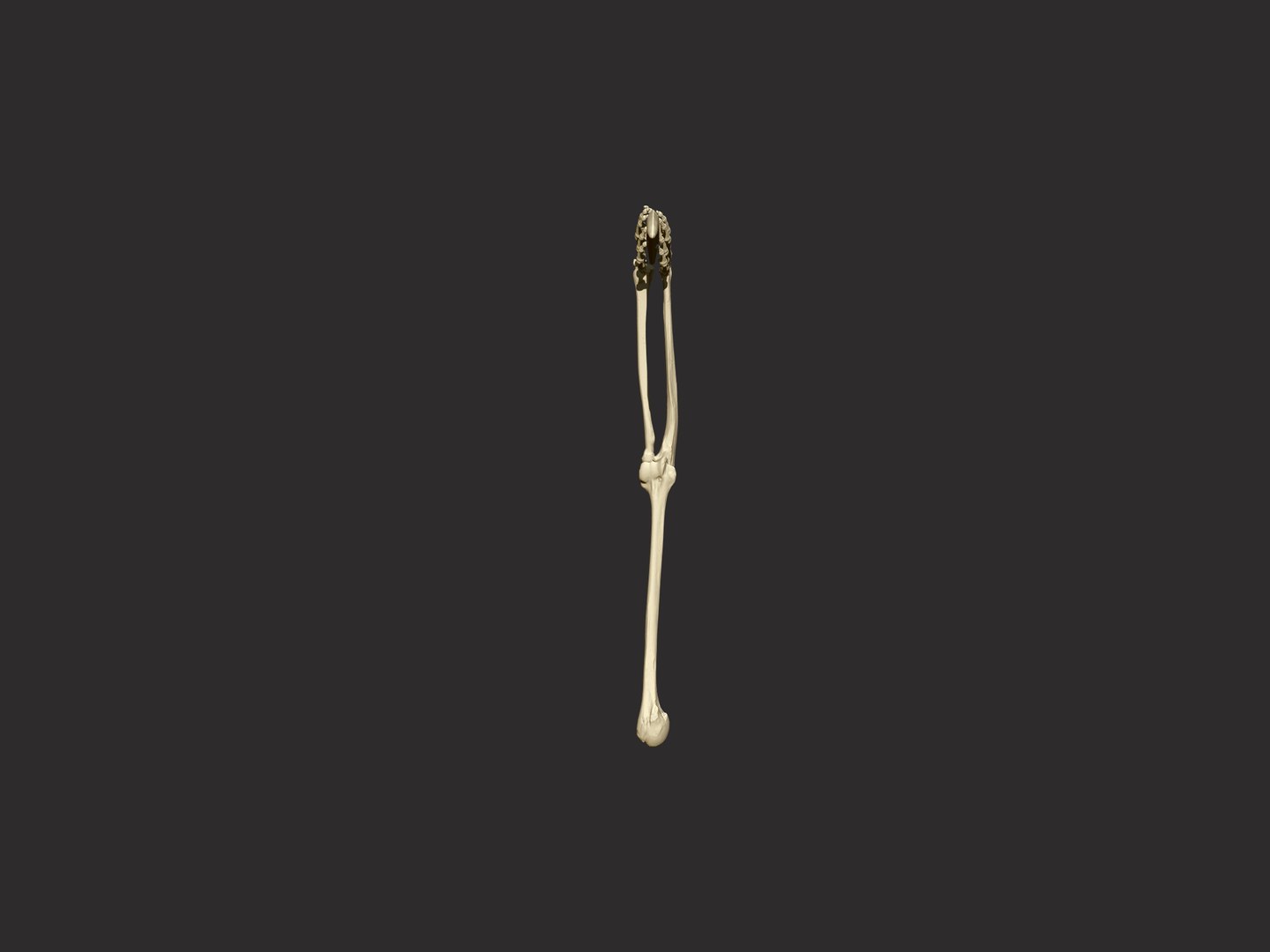Giants Bone Scythe 3D - TurboSquid 2019211