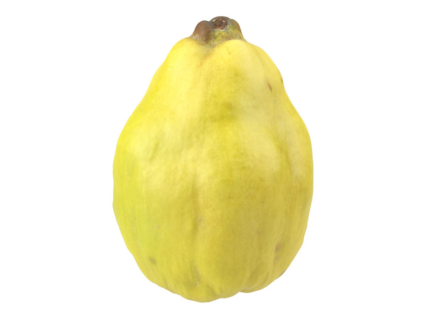 Photorealistic Scanned Quince Model - TurboSquid 1337429