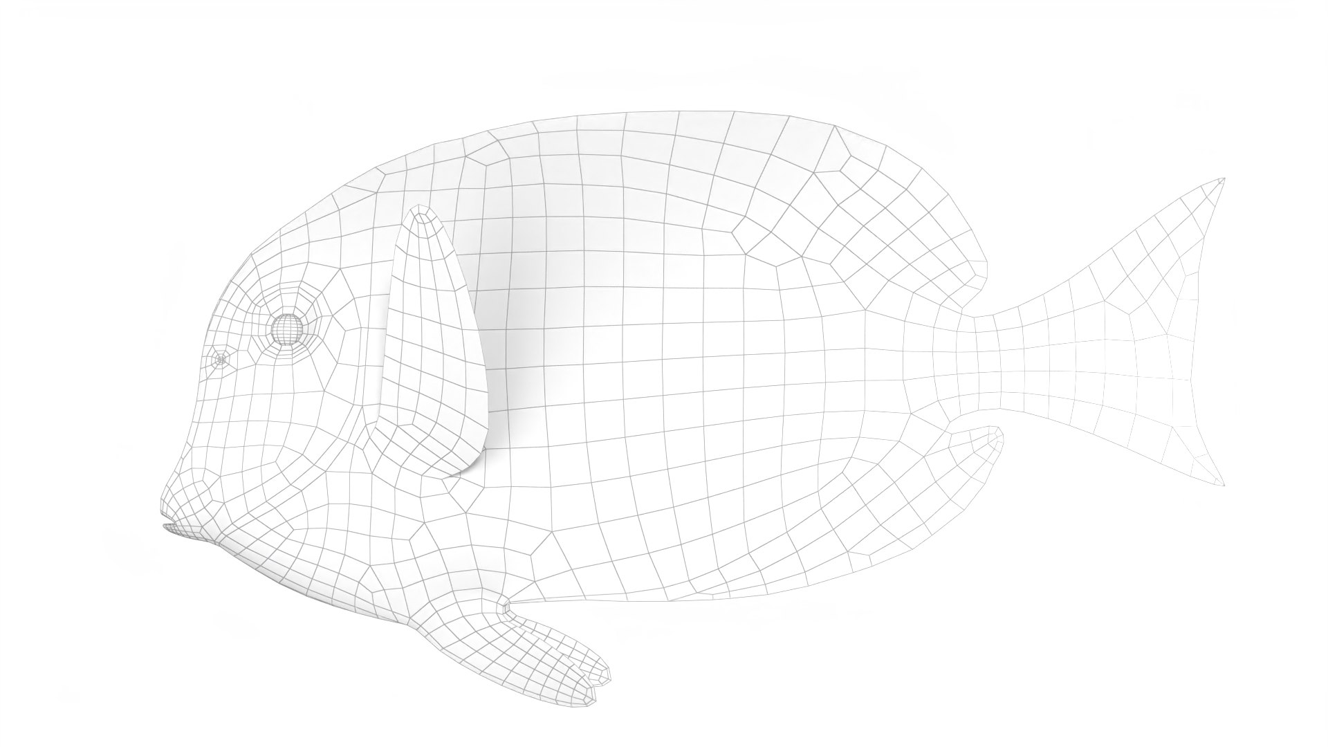 3D Achilles Fish Rigged - TurboSquid 2293226