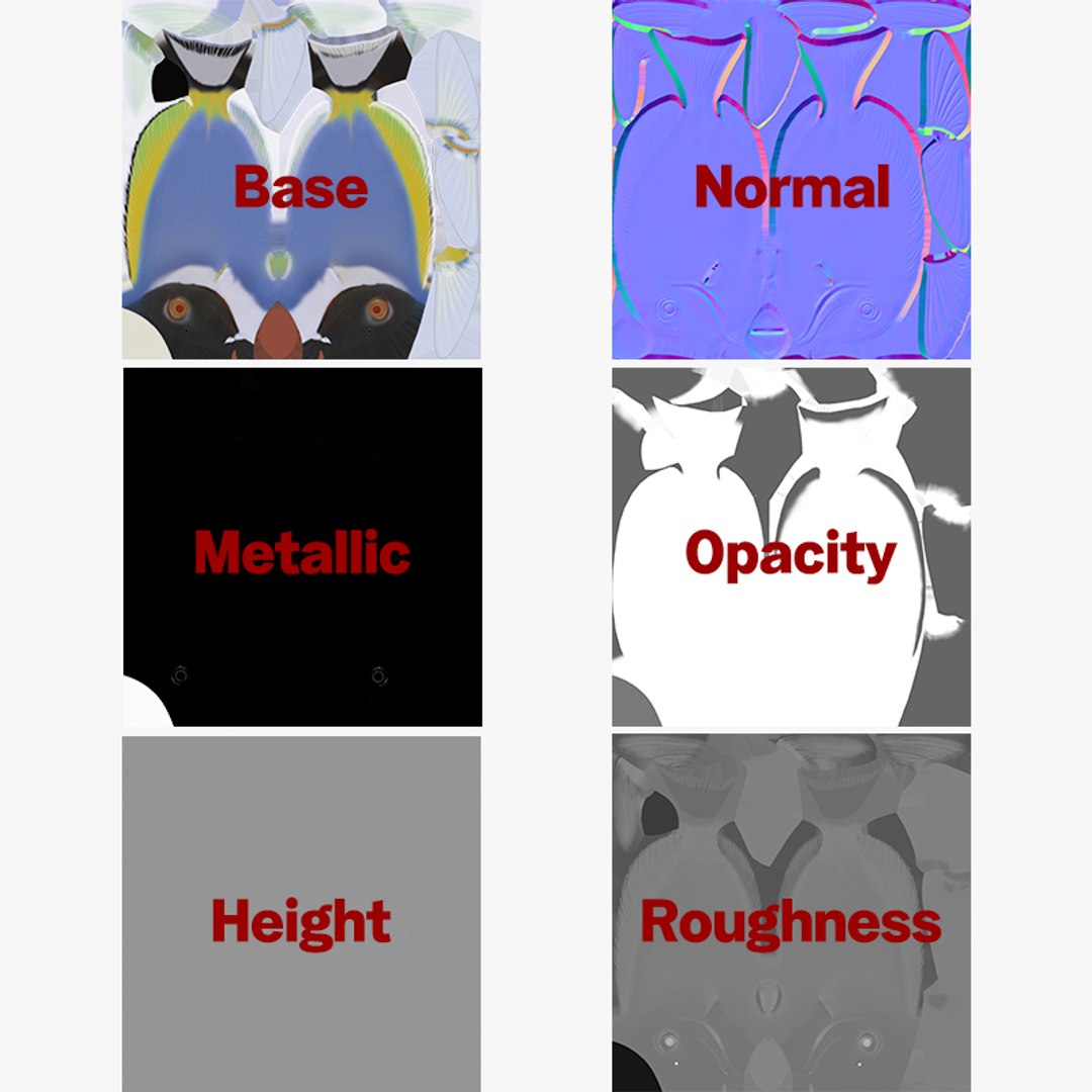 3D Achilles Fish Rigged - TurboSquid 2293226