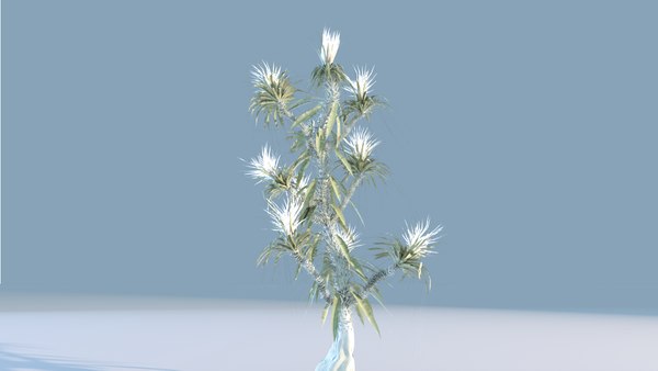 3D model forest plant - TurboSquid 1728893