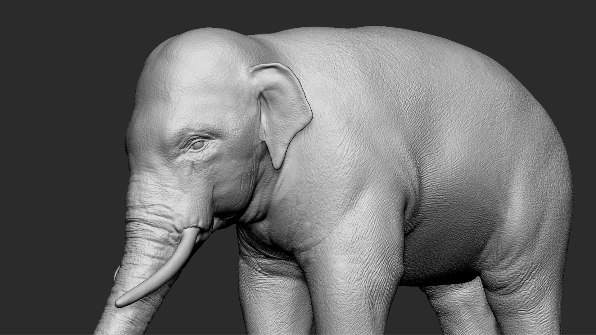 Realistic Elephant Model - TurboSquid 1271157