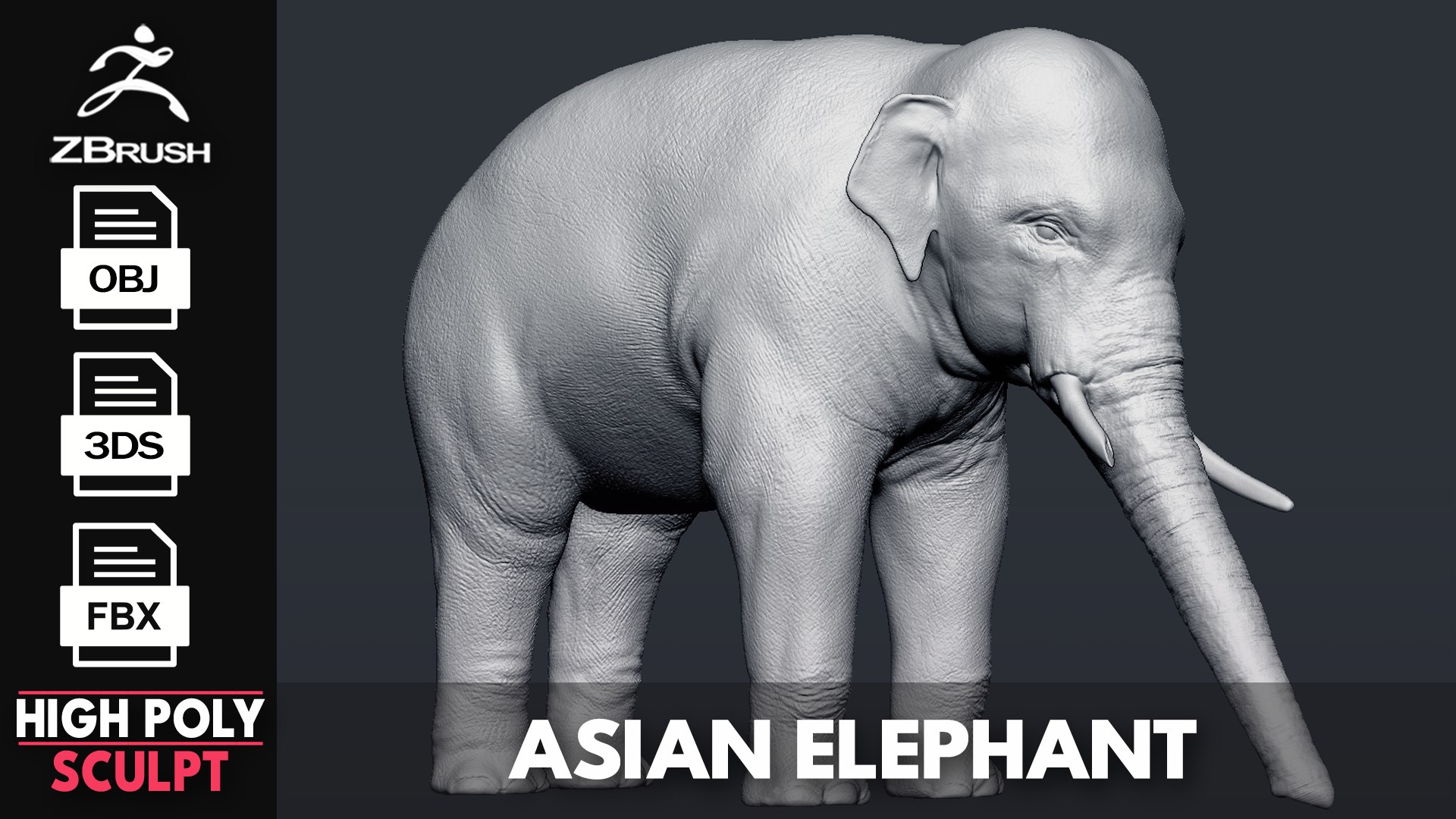 Realistic Elephant Model - TurboSquid 1271157
